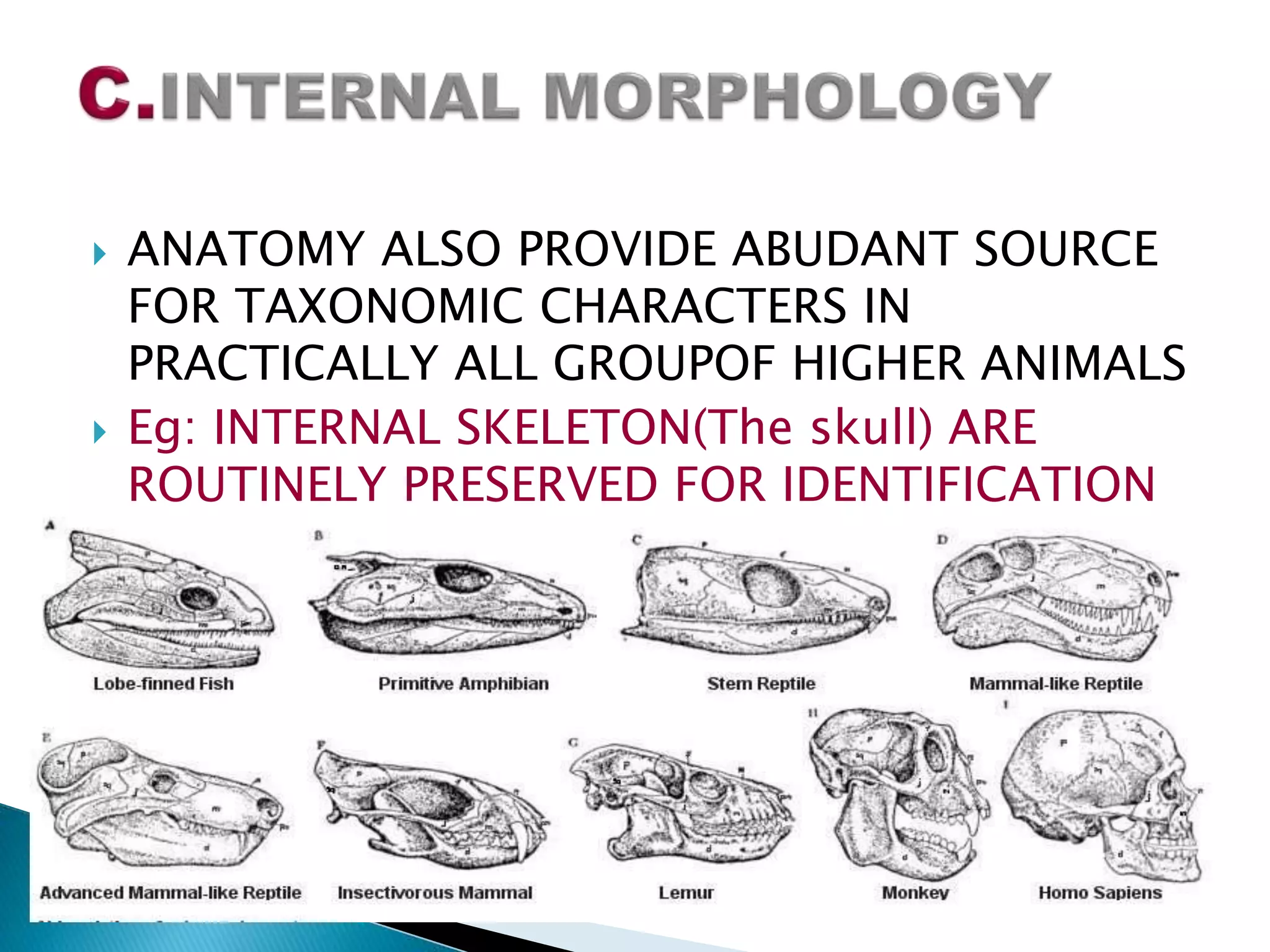 different kinds of taxonomic characters and its function | PPTX