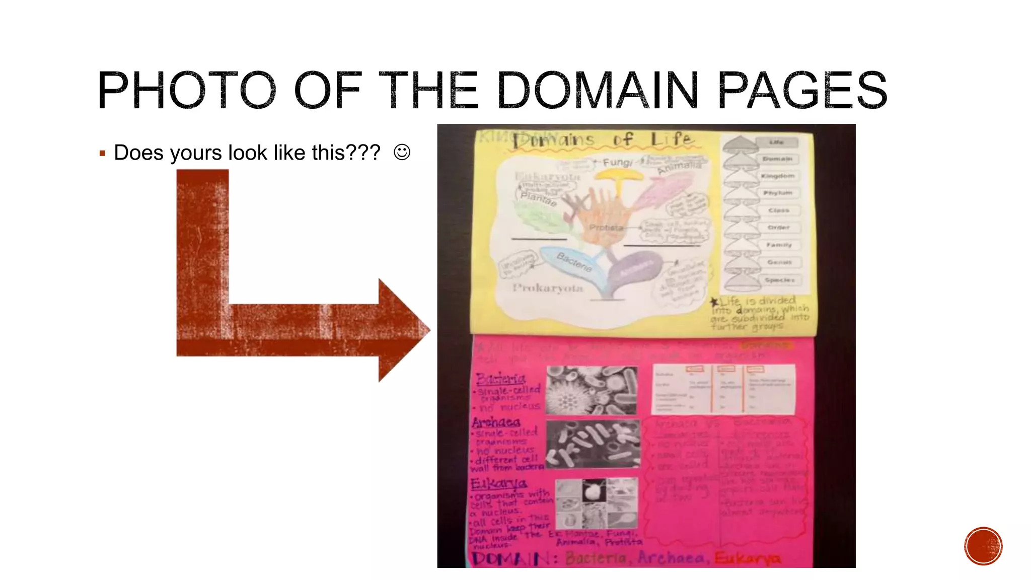 Taxonomy foldable ppt | PPTX