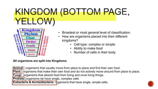 Taxonomy foldable ppt (2) | PPTX