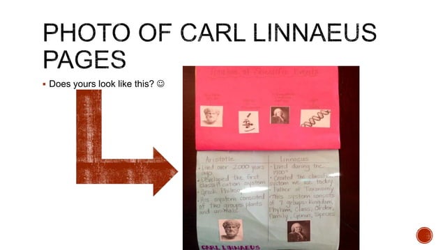 Taxonomy foldable ppt (2) | PPTX