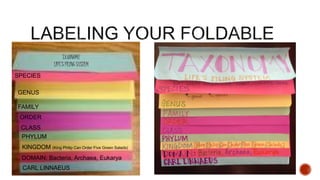 Taxonomy foldable ppt (2) | PPT