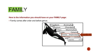 Taxonomy foldable ppt (2) | PPTX