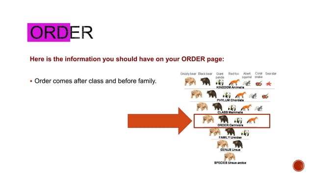 Taxonomy foldable ppt (2) | PPTX