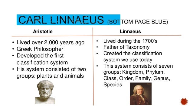 Taxonomy foldable ppt (2)
