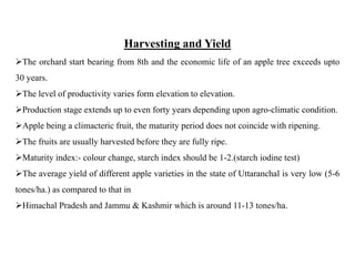 Apple: An Overview | PPTX