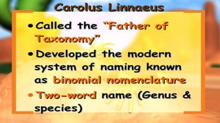 Taxonomy Morphology.ppt. Structure and Its function | PPTX