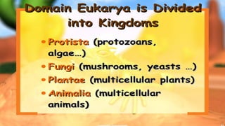Taxonomy Morphology.ppt. Structure and Its function | PPTX