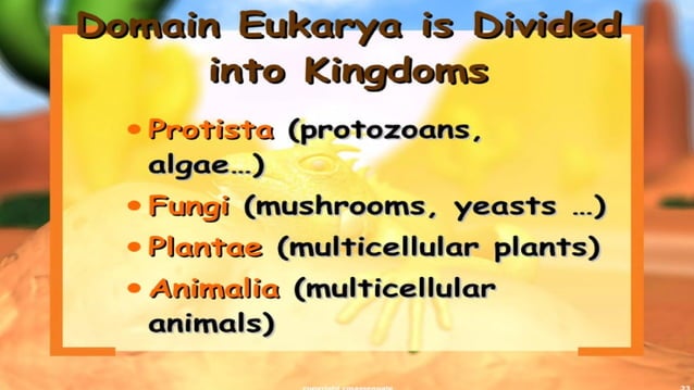 Taxonomy Morphology.ppt. Structure and Its function | PPTX