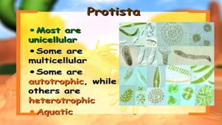Taxonomy Morphology.ppt. Structure and Its function | PPTX
