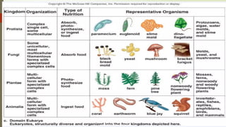 Taxonomy Morphology.ppt. Structure and Its function | PPTX