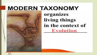 Taxonomy Morphology.ppt. Structure and Its function | PPTX