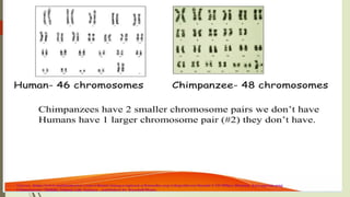 Taxonomy Morphology.ppt. Structure and Its function | PPTX