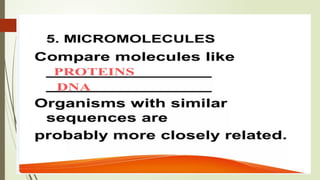 Taxonomy Morphology.ppt. Structure and Its function | PPTX