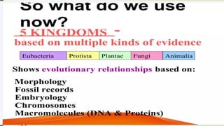 Taxonomy Morphology.ppt. Structure and Its function | PPTX