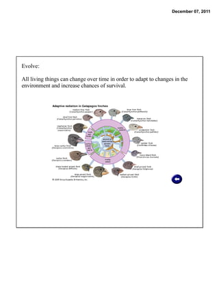 Taxonomy notes pdf | PDF