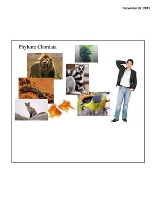 Taxonomy notes pdf | PDF