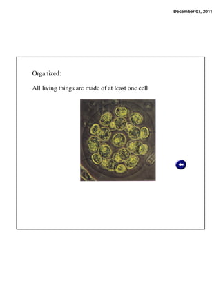 Taxonomy notes pdf | PDF