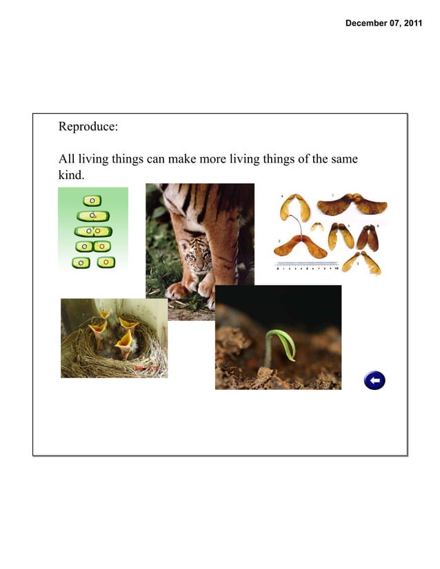 Taxonomy notes pdf | PDF