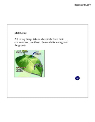 Taxonomy notes pdf | PDF