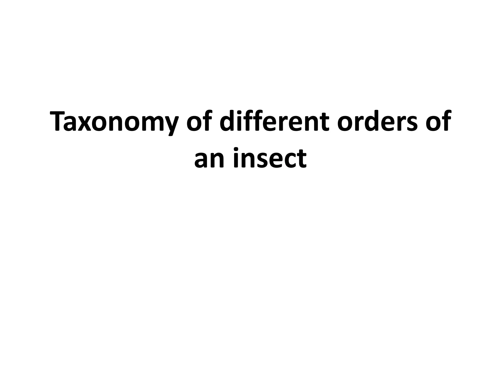 Taxonomy of different orders of an insect.pptx