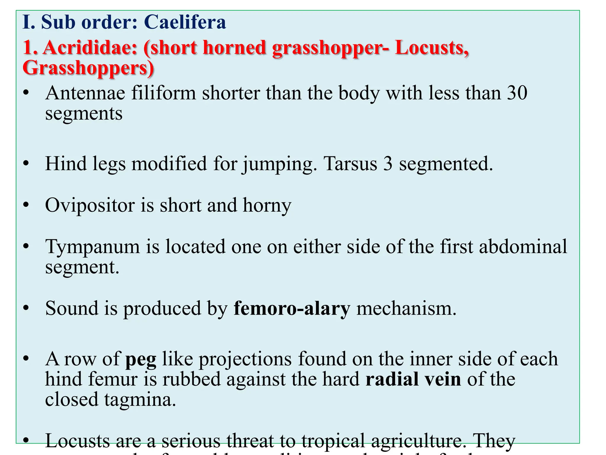 Taxonomy of different orders of an insect.pptx