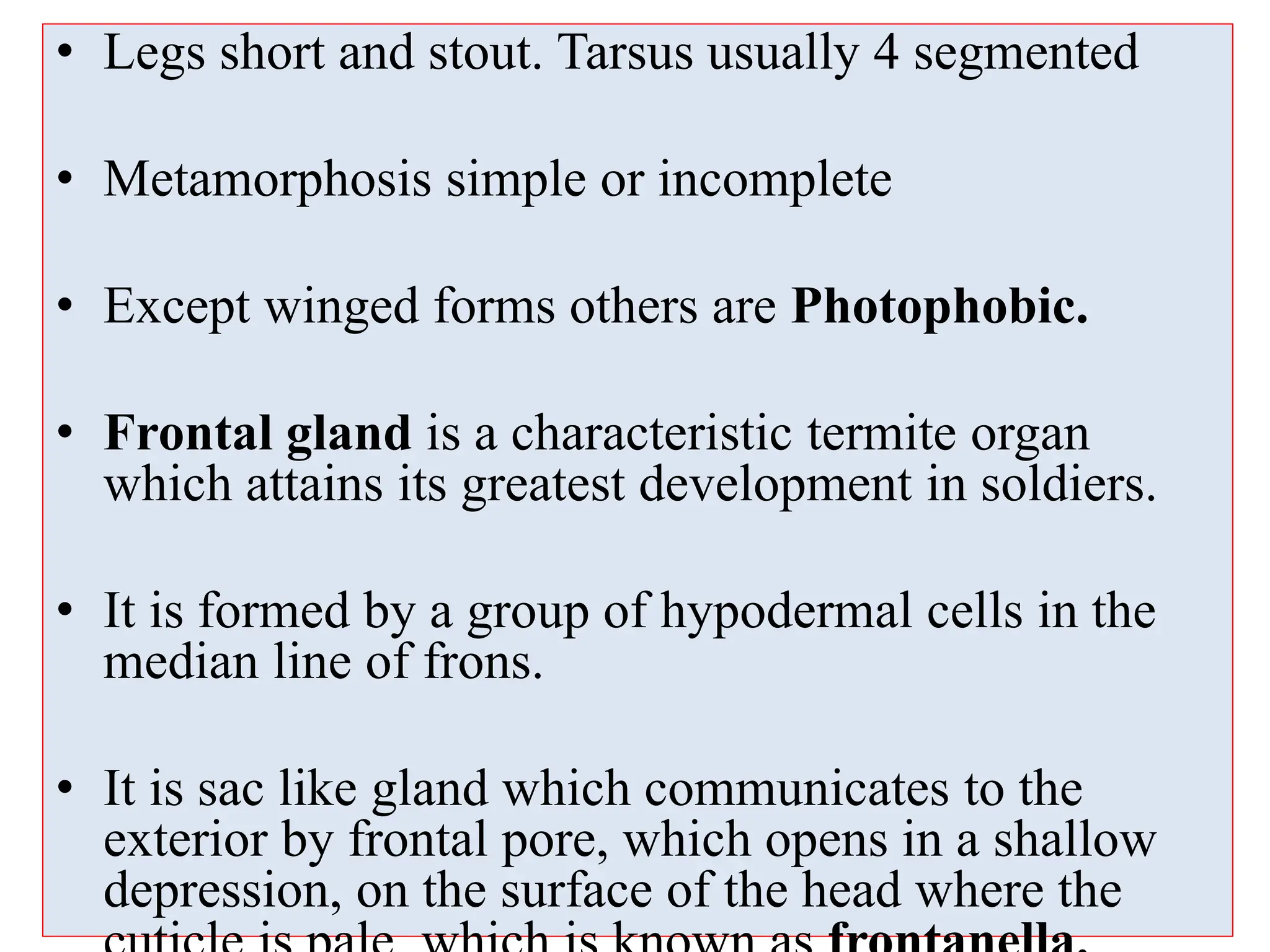 Taxonomy of different orders of an insect.pptx