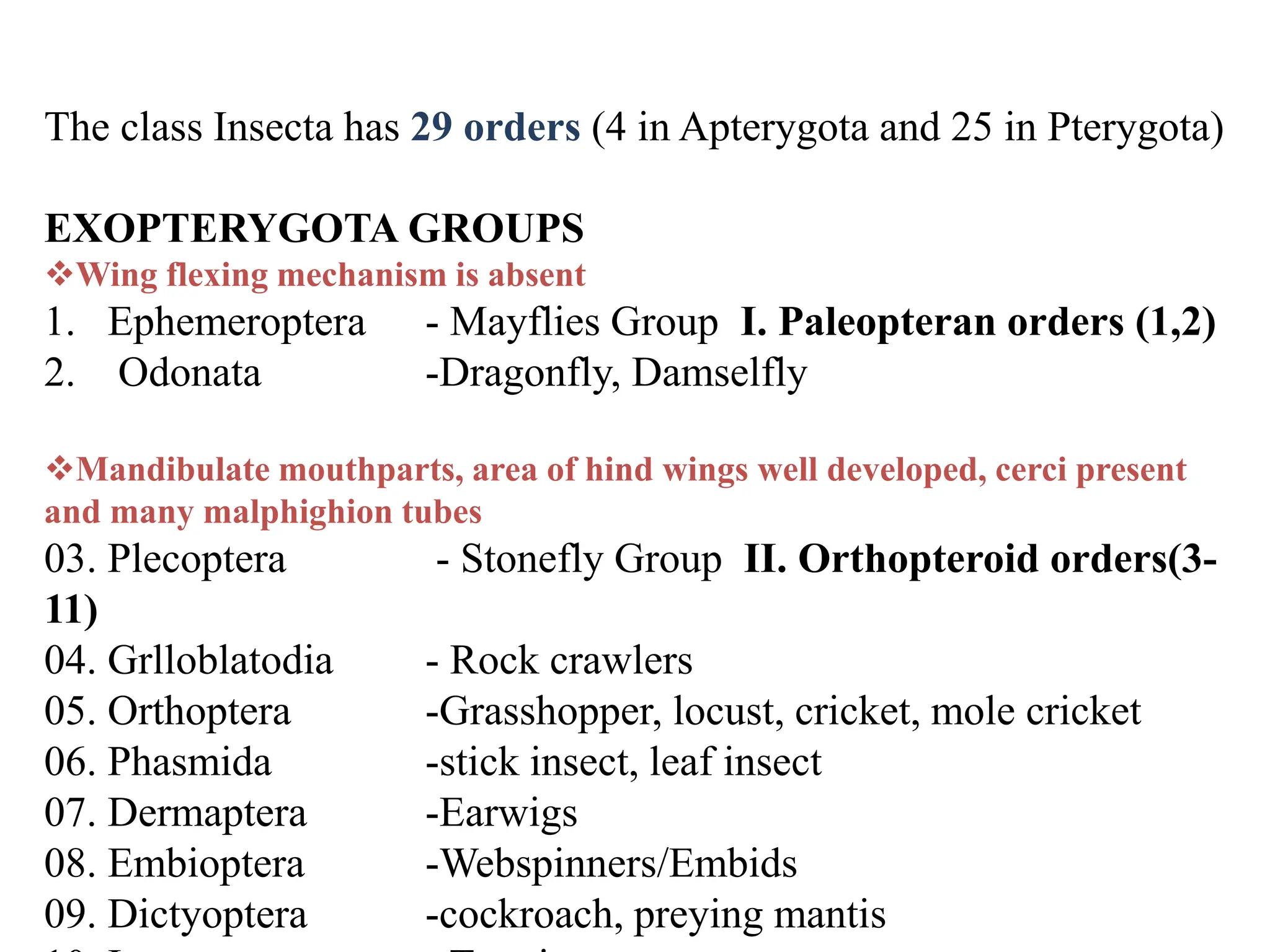 Taxonomy of different orders of an insect.pptx