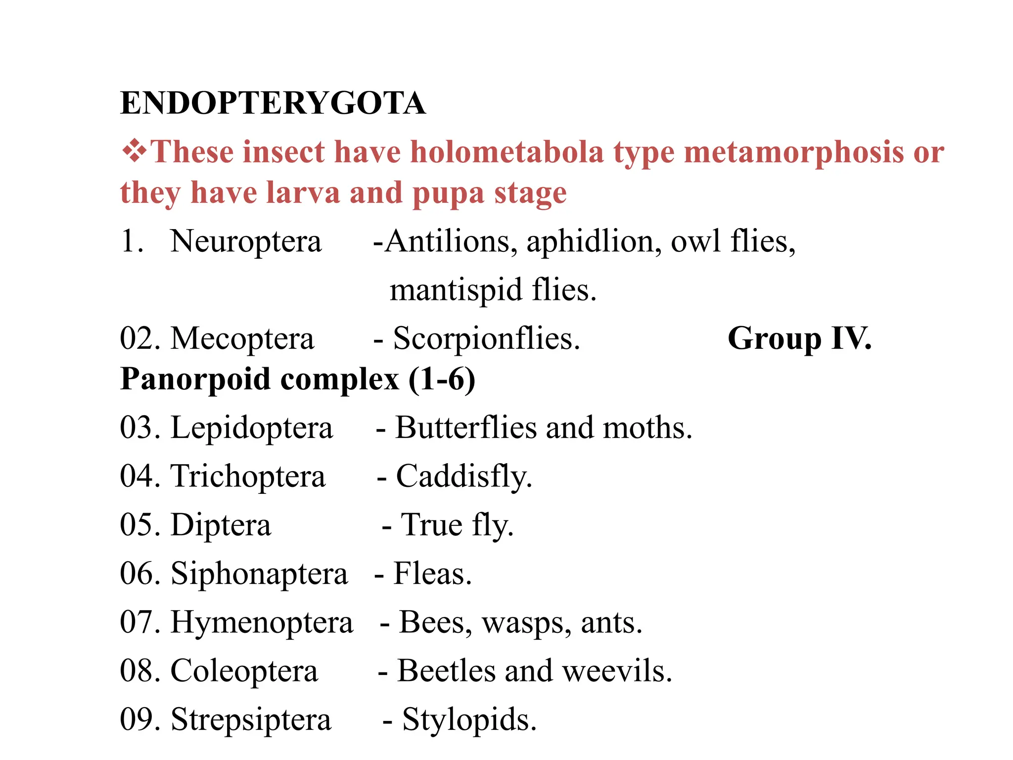 Taxonomy of different orders of an insect.pptx
