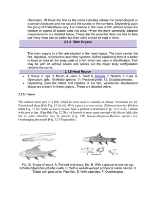 Taxonomy of finfish notes | PDF