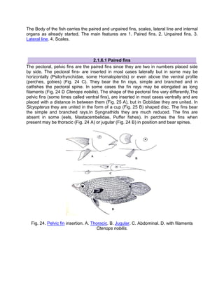 Taxonomy of finfish notes | PDF
