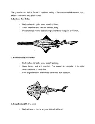 Taxonomy of finfish notes | PDF