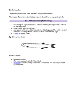Taxonomy of finfish notes | PDF