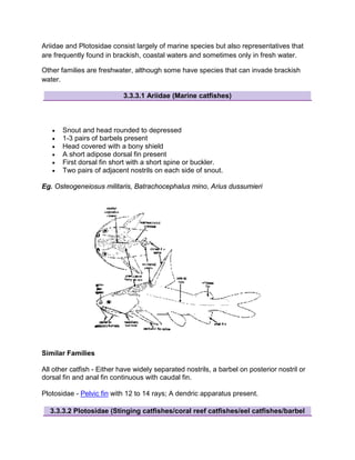 Taxonomy of finfish notes | PDF