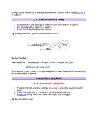 Taxonomy of finfish notes | PDF