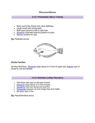 Taxonomy of finfish notes | PDF