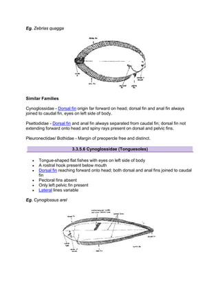 Taxonomy of finfish notes | PDF