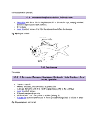 Taxonomy of finfish notes | PDF