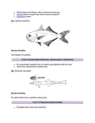 Taxonomy of finfish notes | PDF