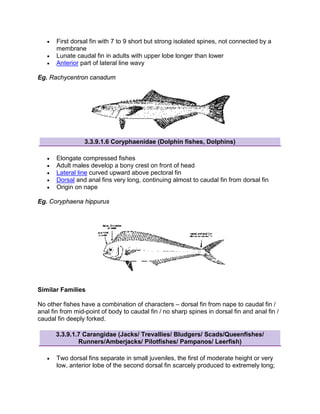 Taxonomy of finfish notes | PDF