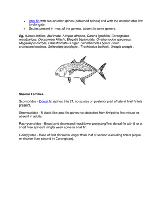 Taxonomy of finfish notes | PDF