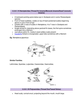 Taxonomy of finfish notes | PDF