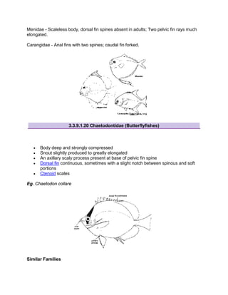 Taxonomy of finfish notes | PDF