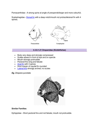 Taxonomy of finfish notes | PDF