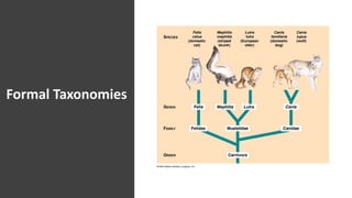 Taxonomy of Knowledge Management | PPTX | Databases | Computer Software and Applications