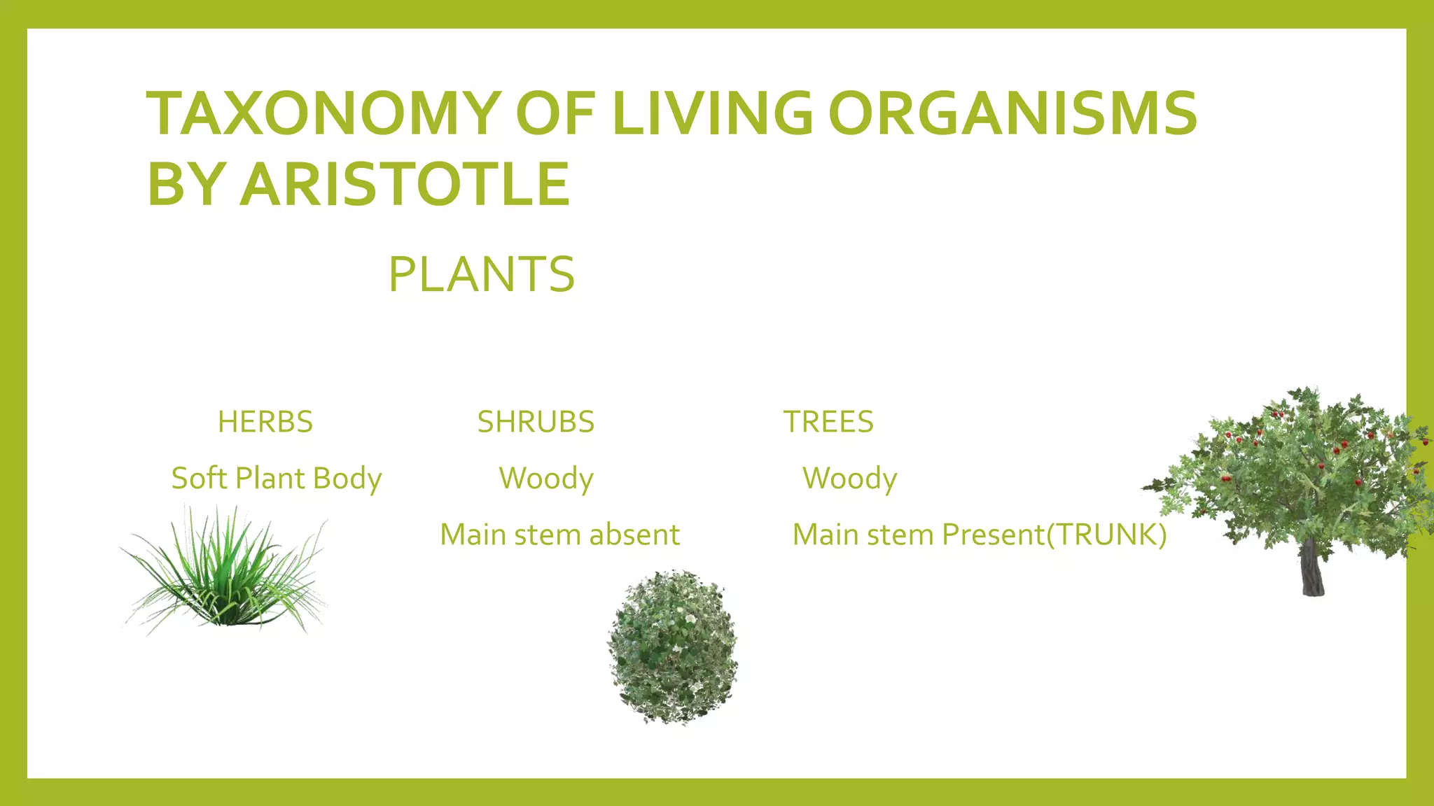 TAXONOMY OF LIVING ORGANISMS.pptx