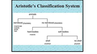 TAXONOMY OF LIVING ORGANISMS.pptx