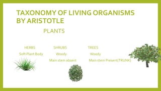 TAXONOMY OF LIVING ORGANISMS.pptx