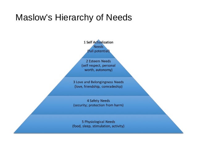 Bradshaw's Taxonomy of Need