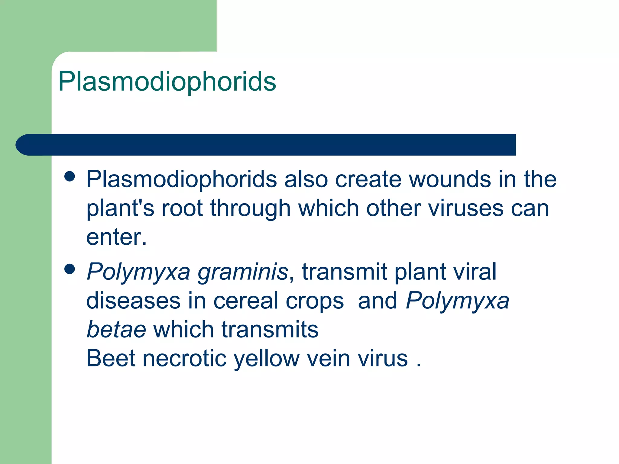 Taxonomy of plant viruses | PPT