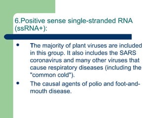 Taxonomy of plant viruses | PPT